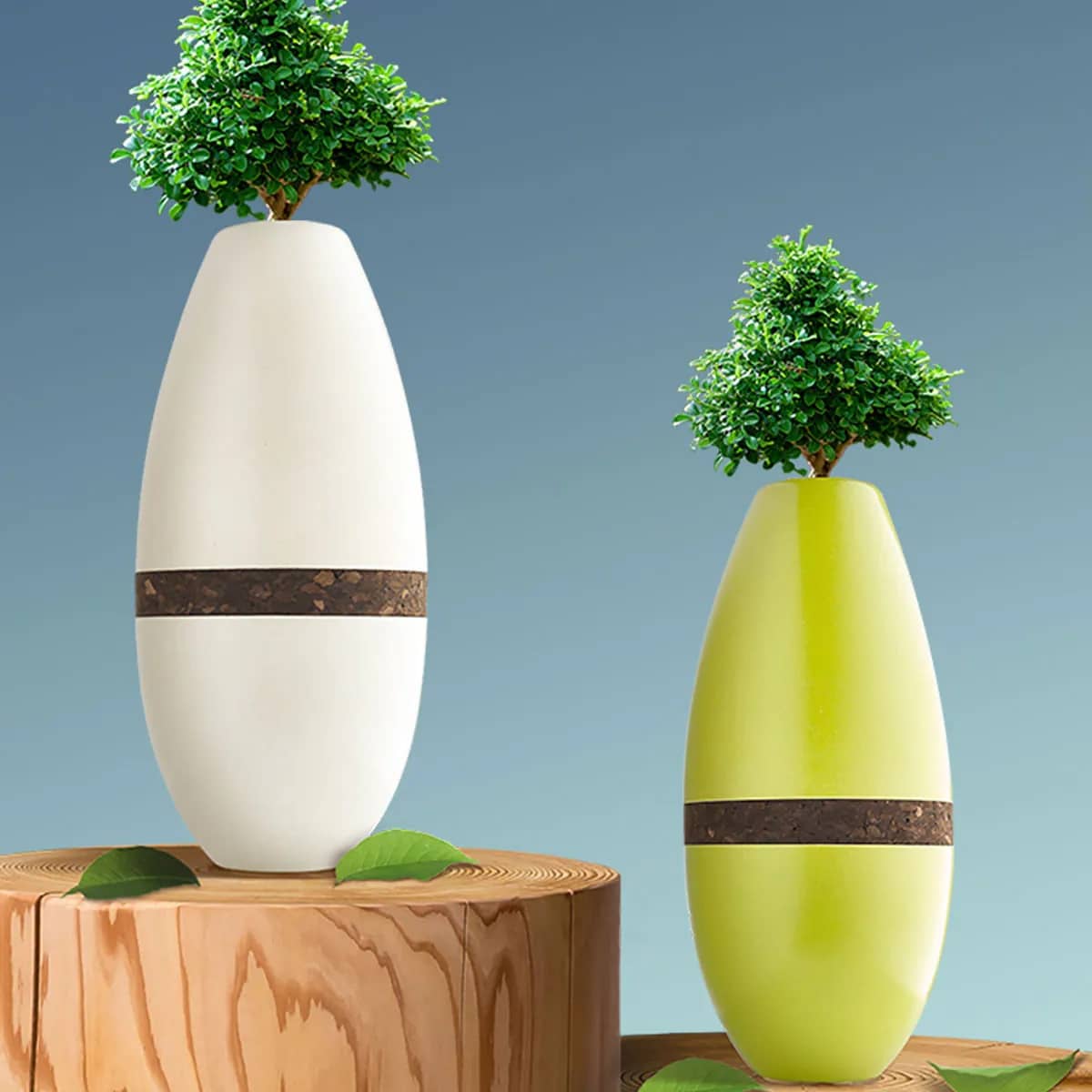 Bio Urn Tree - Free Delivery - UrnsForAshes.co.uk
