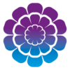 Distinct Cremations - An Honest Review of their Direct Cremations