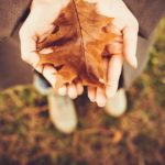 Distinct Cremations - An Honest Review of their Direct Cremations
