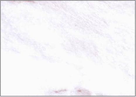 White Marble Double Urn - Urns for Ashes